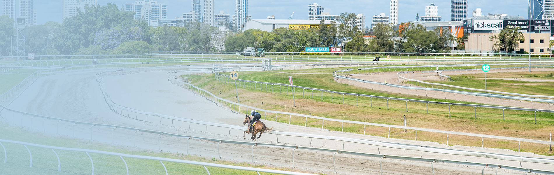 Magic Millions - Magic Millions