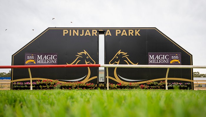 Racedays - Magic Millions