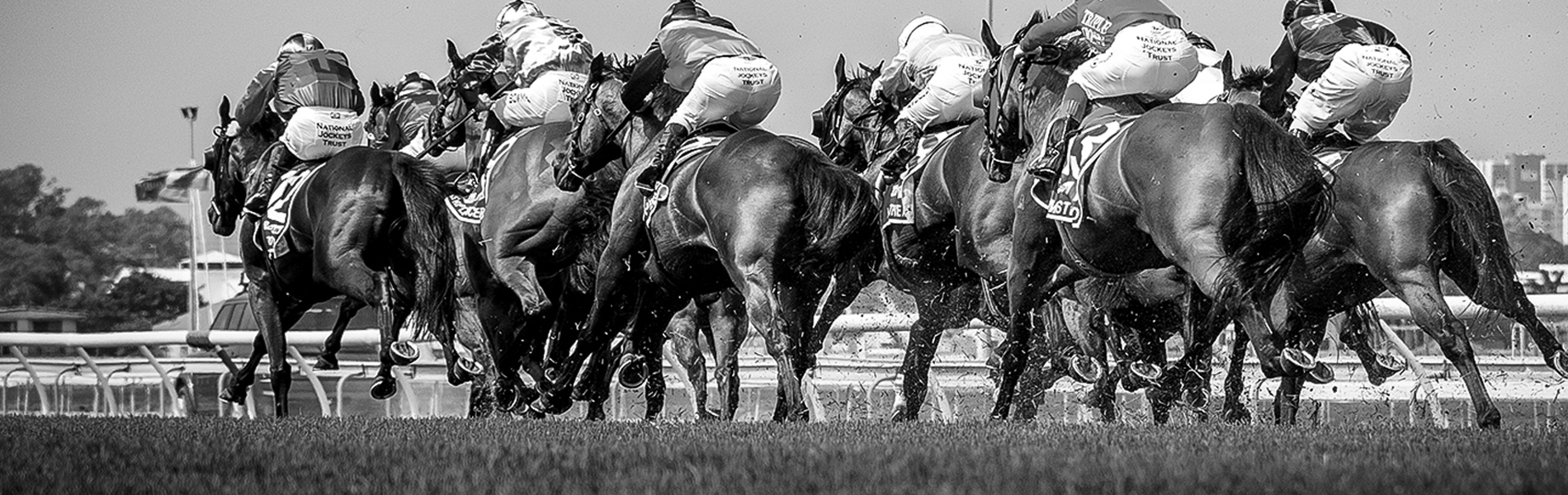 Magic Millions - Magic Millions