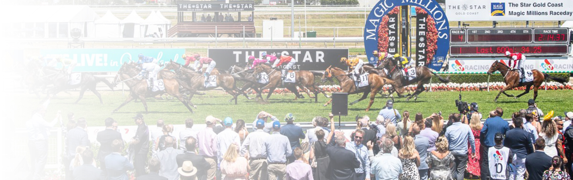 Magic Millions - Magic Millions