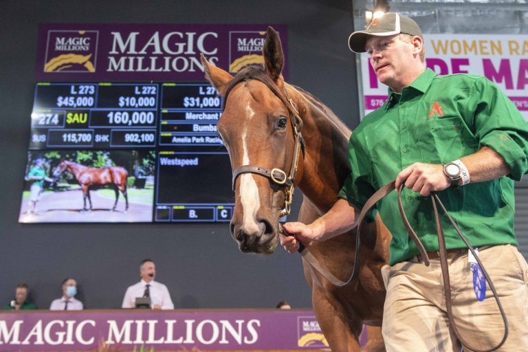 2022 Perth Yearling Sale