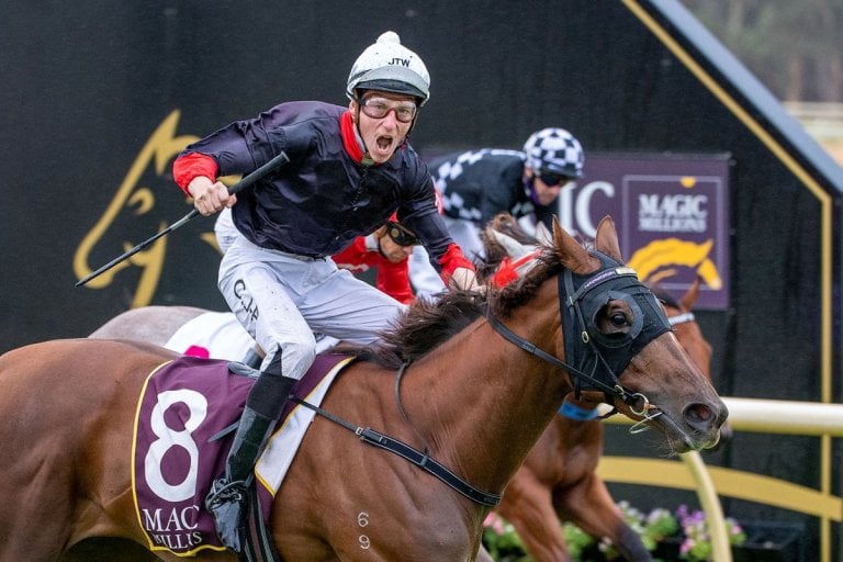 2022 Perth Yearling Sale