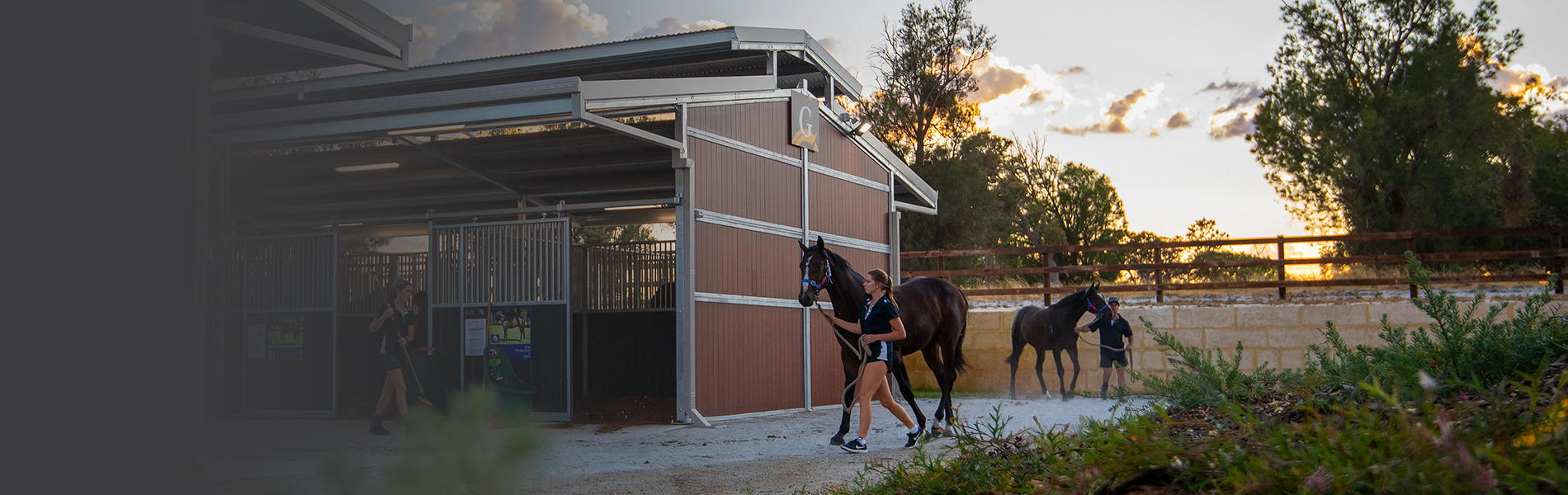 22PerthWinter_1900x600 | Magic Millions