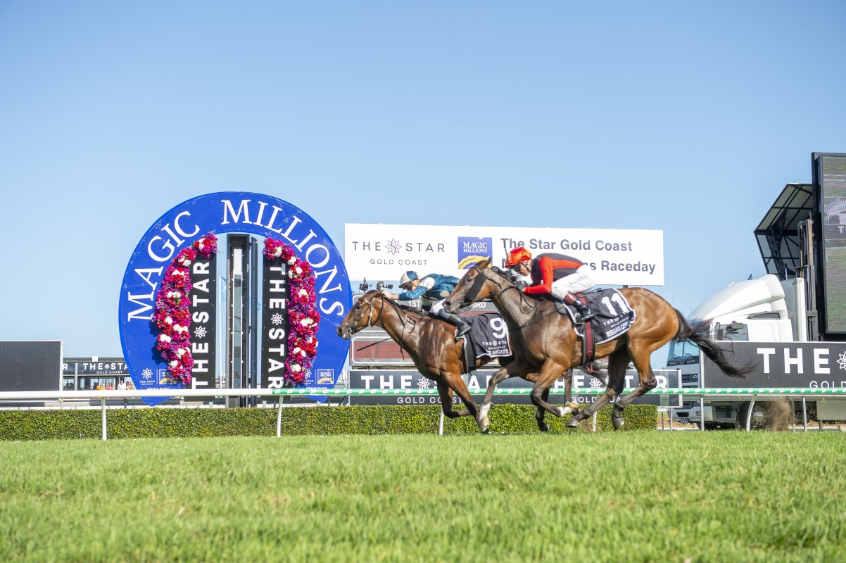Racedays - Magic Millions