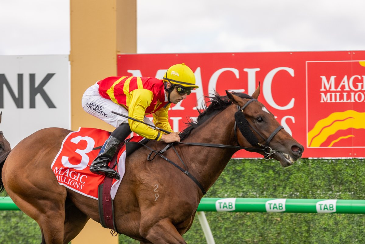 Racedays - Magic Millions