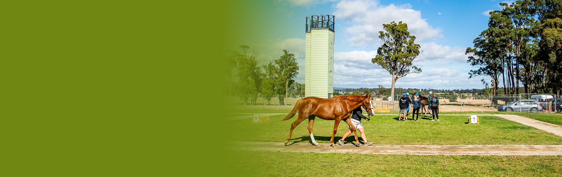 Magic Millions - Magic Millions