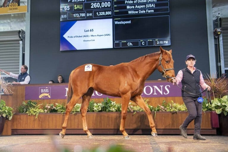 2023 Perth Winter Yearling Sale
