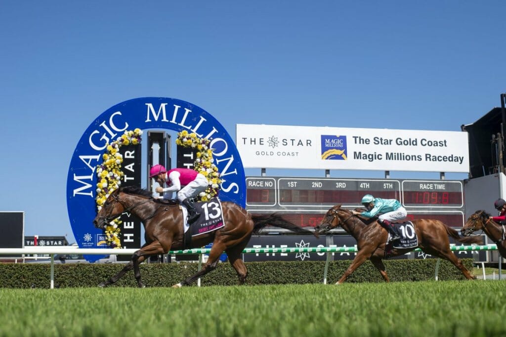 Race Series General Information | Magic Millions