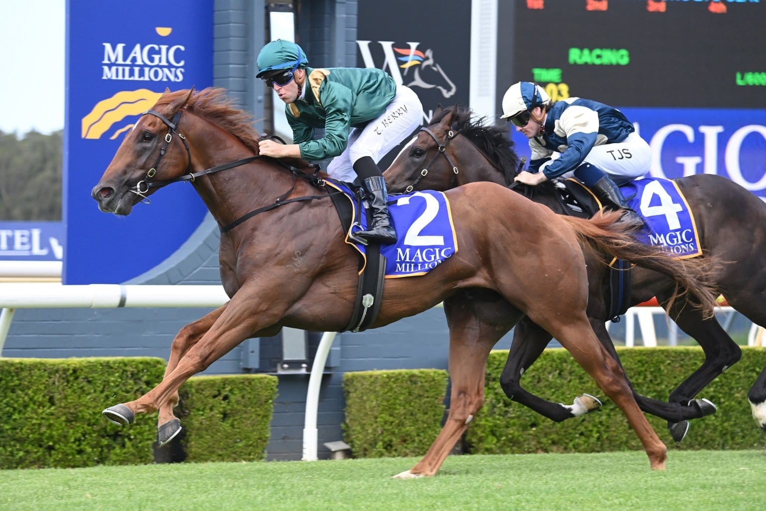 2023 | Magic Millions