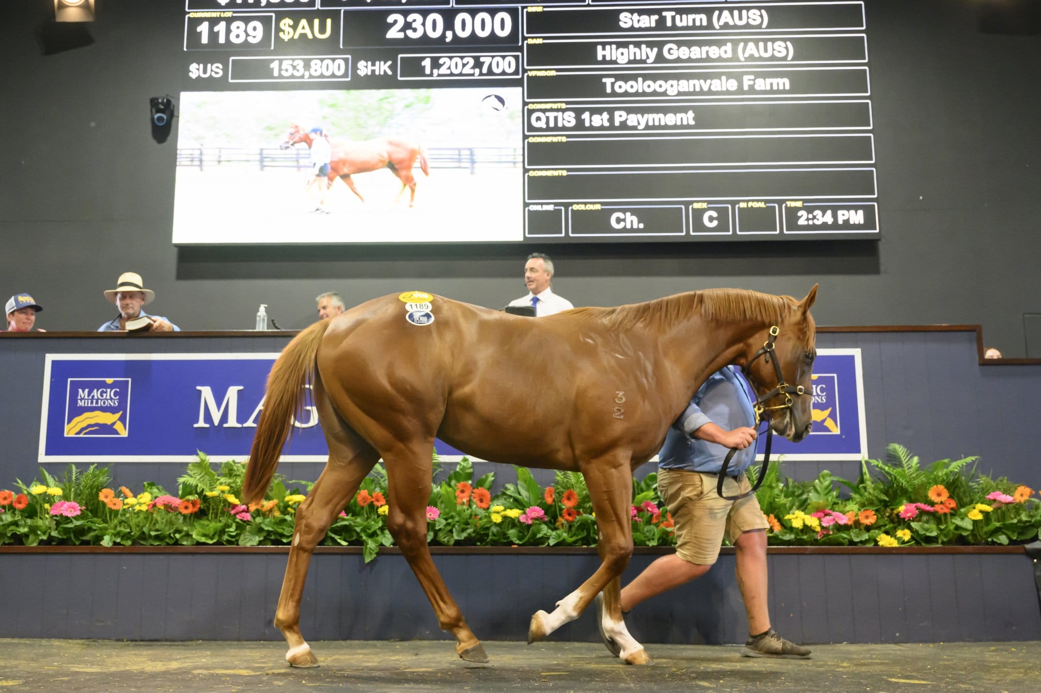 2024 Gold Coast Yearling Sale