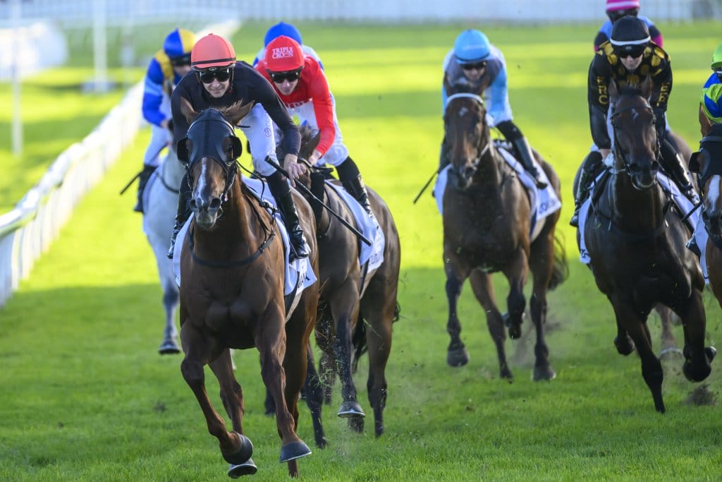 Semana Cruises Home in Jewel Magic Millions Cup - Magic Millions