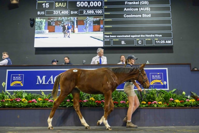 2024 Gold Coast National Weanling Sale