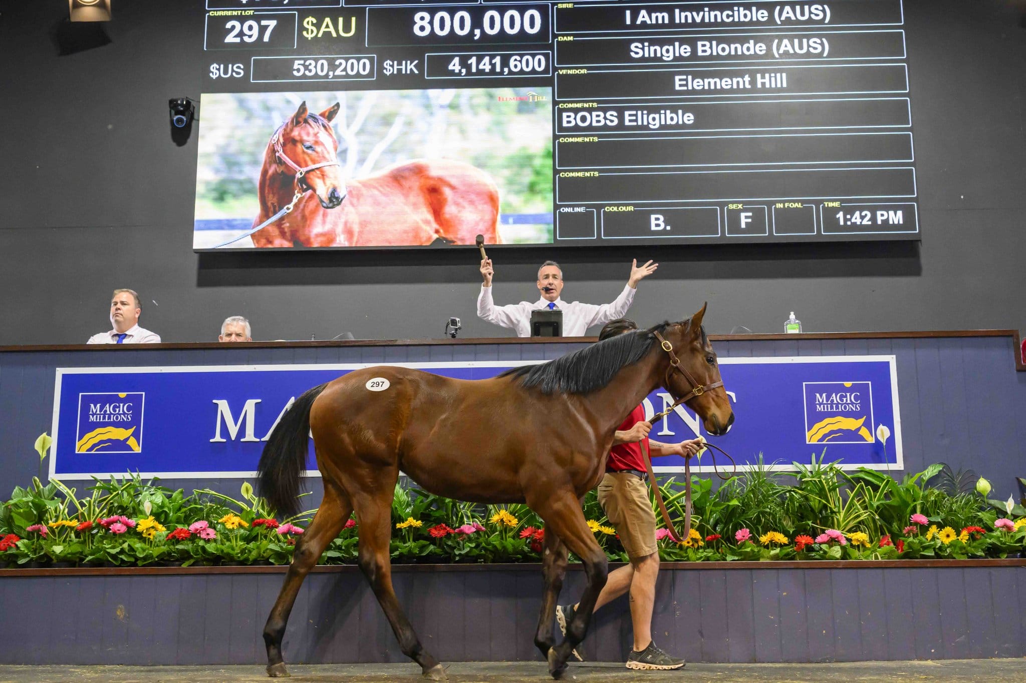 2024 Gold Coast National Weanling Sale