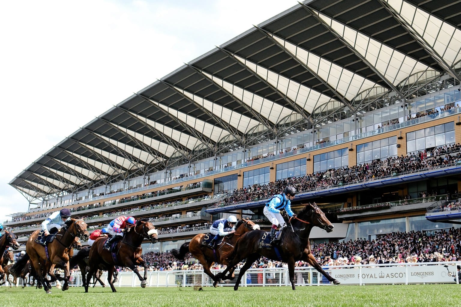 2025 Adelaide Yearling Sale