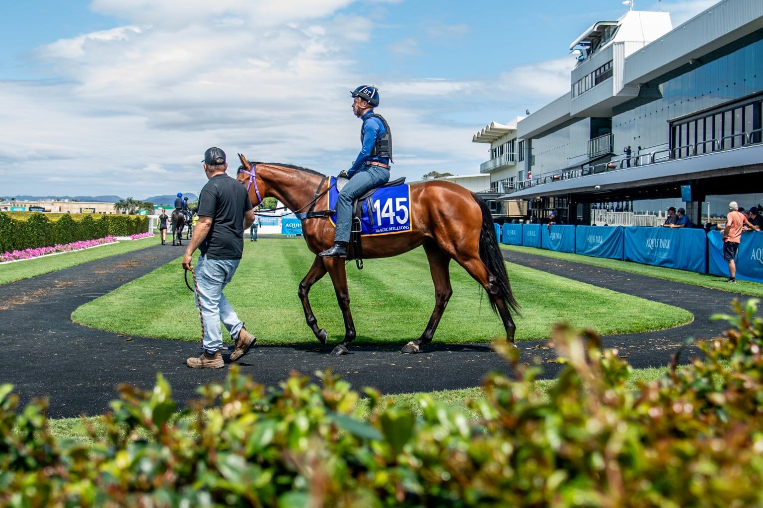2025 | Magic Millions