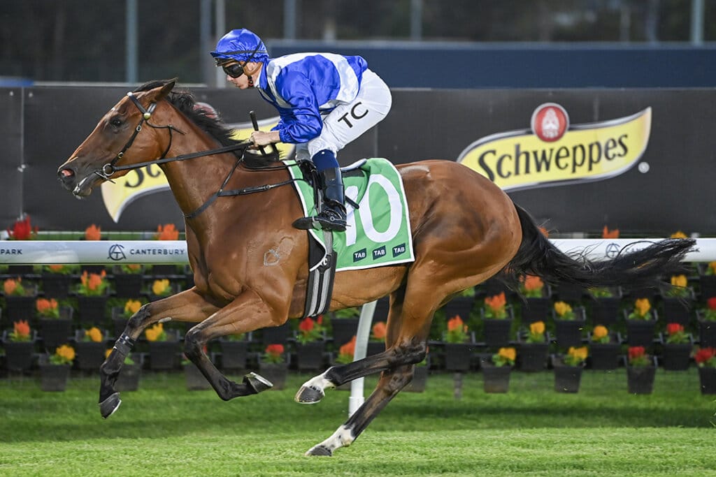2024 | Magic Millions