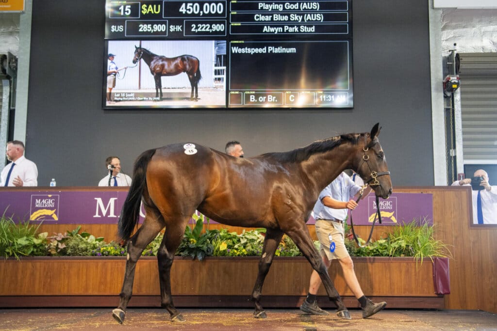 2025 | Magic Millions