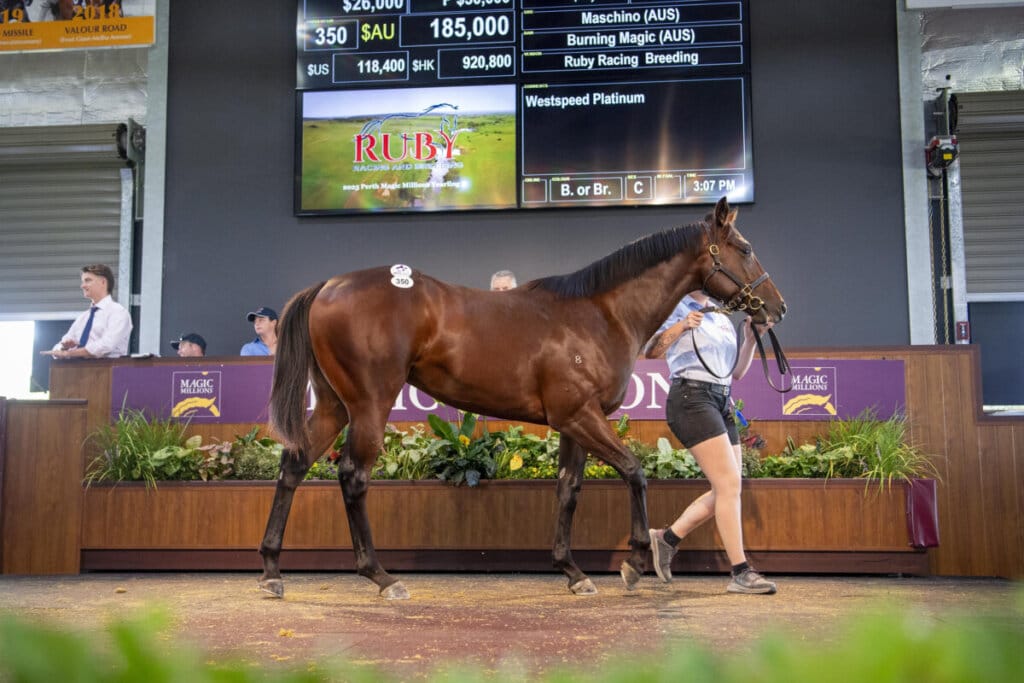 2025 | Magic Millions