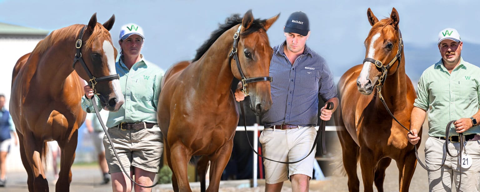 2025 | Magic Millions