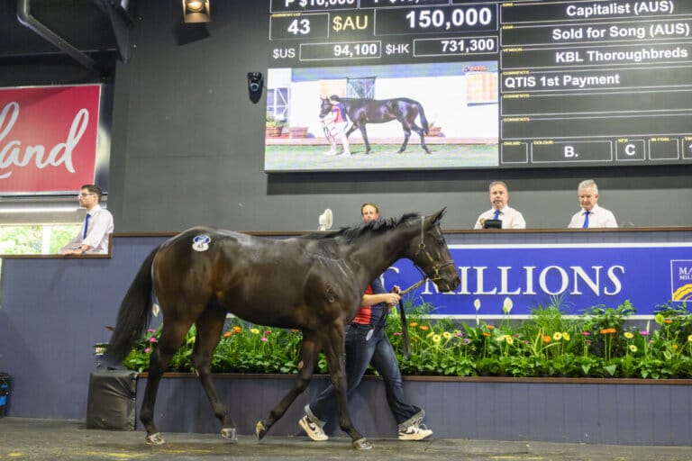 2025 Gold Coast March Yearling Sale
