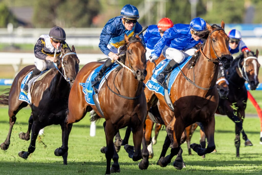 2025 | Magic Millions