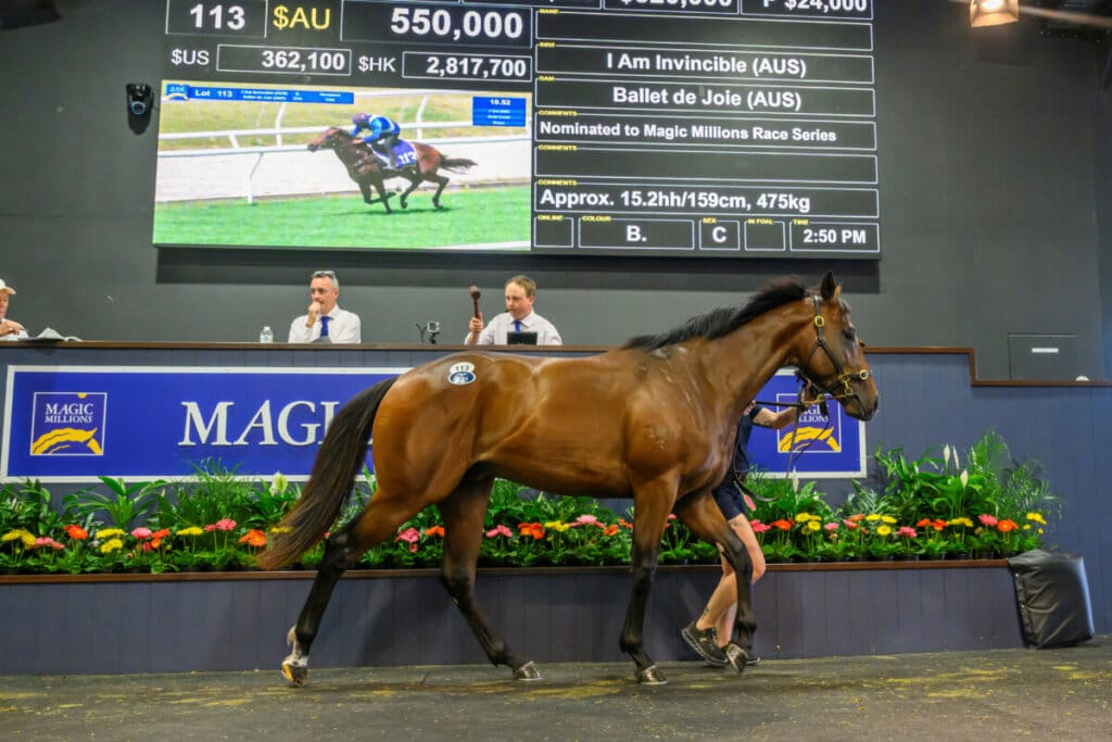October | 2025 | Magic Millions