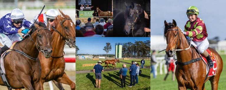 2025 | Magic Millions