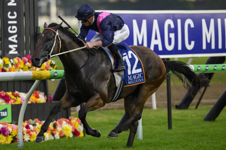 2026 | Magic Millions
