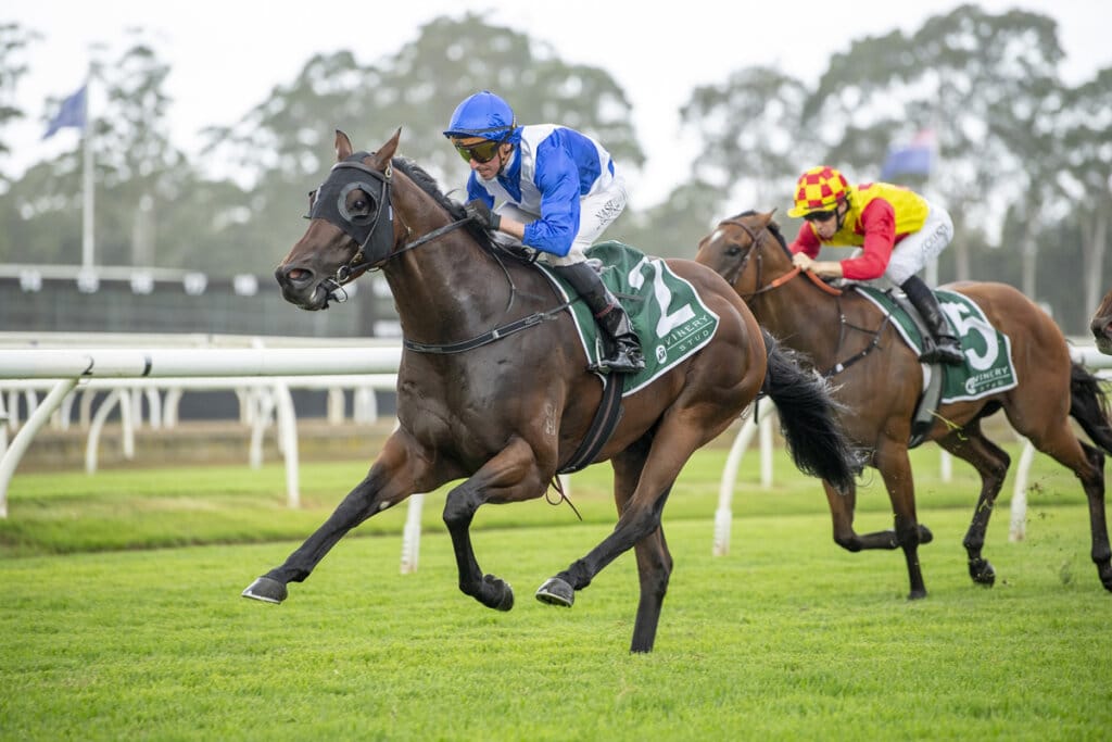 2026 | Magic Millions